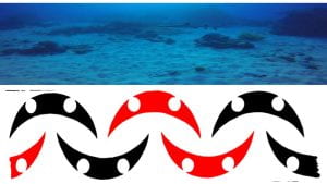 Winiata mahi pikitia tangaroa – Winiata @ Te Kura Amorangi o Whakawatea